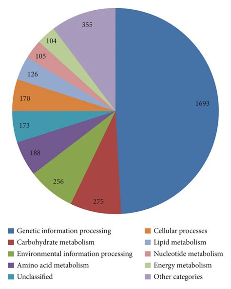 Classification Of S Latifolia Proteins By The Kyoto Encyclopedia Of