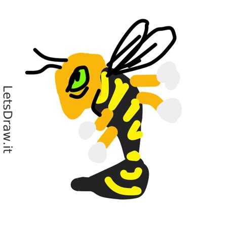 How To Draw Wasp Mzwwcwwdr Png LetsDrawIt How To Draw Wasp Mzwwcwwdr Png LetsDrawIt