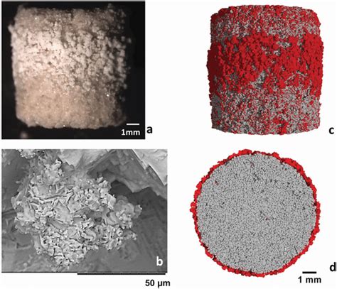 Dissolution Drying Cycles Lead To Recrystallization A Optical Download Scientific Diagram