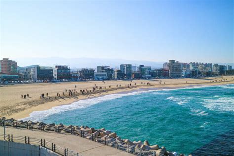 Ktx 당일치기 강릉여행 코스 And 비용 겨울 강릉여행 10시간의 기록 • 여행 맛집 전시 일상 리뷰