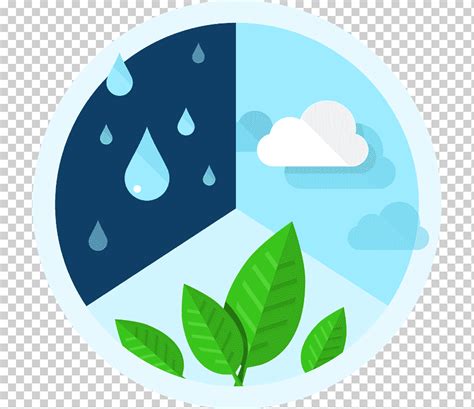 Evaluación De Impacto Ambiental Ambiente Natural Degradación Ambiental