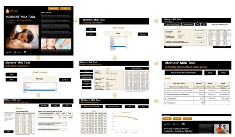 FIGURE E Key Functions Of The Mothers Milk Tool Authors Created This Download Scientific