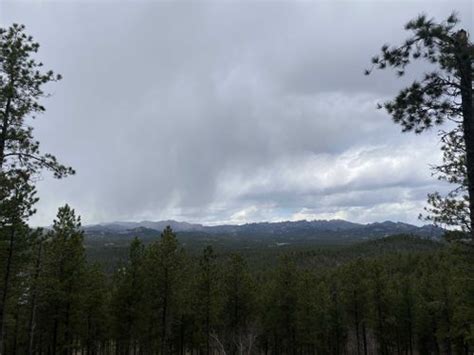 Cliche Kitten Onlyfans Creator Fans Rating Model S Poll Stats Data Of Trials