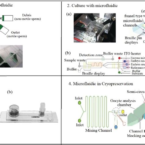 A Schematic Design Of Sperm Sorting Microfluidic Device B Download Scientific Diagram