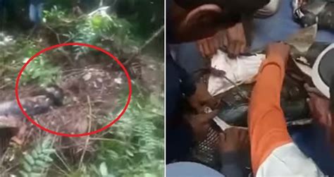 Body Of Missing Indonesian Woman Discovered Fully Intact Inside 22 Foot