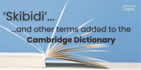 ‘skibidi And Other Words Heard In The Classroom Now In Cambridge