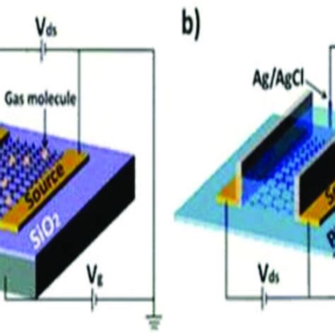 A Typical Back Gate GFET On Si SiO Substrate Used As Gas Sensor B Download Scientific