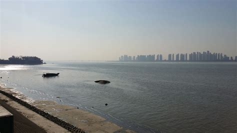 2023海宁潮游玩攻略 钱塘江是非常漂亮的一条河 去哪儿攻略
