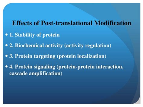 Ppt Post Translational Process Yildirim Beyazit University Faculty Of