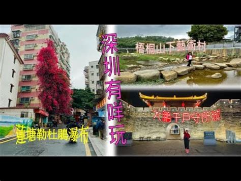小城故事背後有美麗謊言蓮塘勒杜鵑瀑布梧桐山下藝術村集文化創意藝術旅遊為一體大鵬千戶守所城有沿海所城大鵬為最之稱 Ep3