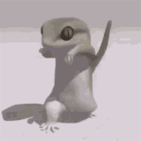 Gecko Dance  Gecko Dance Discover And Share S