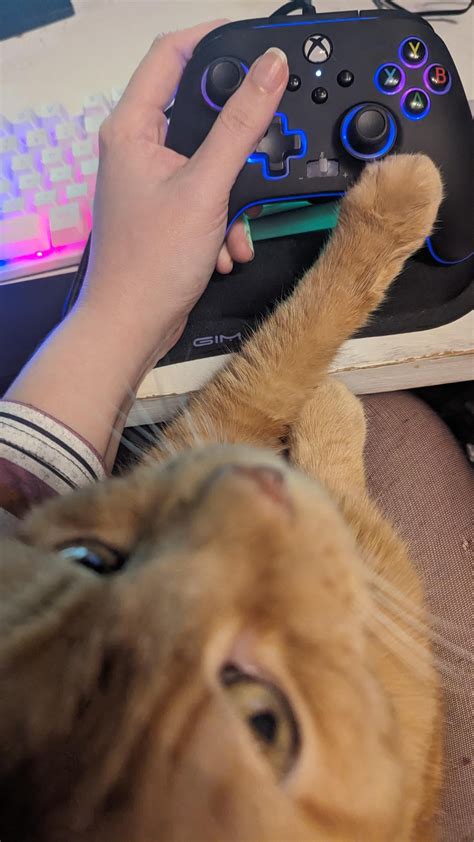 He Thinks I Need To Git Gud R Oneorangebraincell