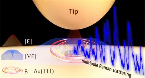 Fiber Vector Light Field Based Tip Enhanced Raman Spectroscopy Nano Letters