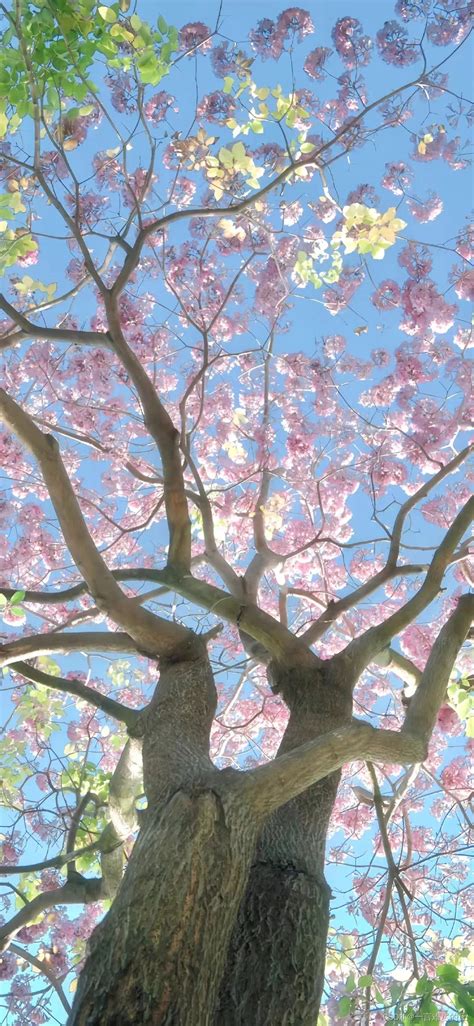 【基础算法模板】前缀和与差分前缀和模板 Csdn博客 【基础算法模板】前缀和与差分前缀和模板 Csdn博客