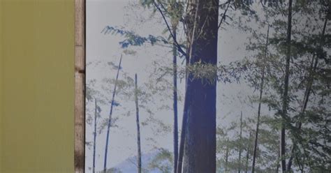 Floating Frames And Canvas