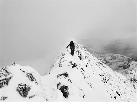 Scrambling Grades Explained A Guide To British Scramble Grades Brown Bird And Co