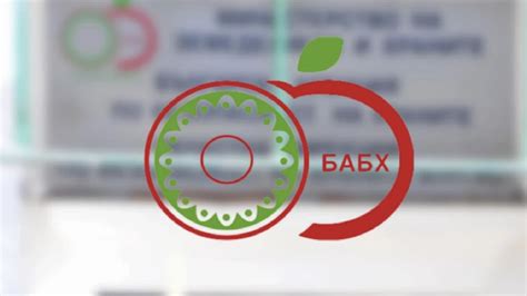 БАБХ предлага местната власт да може да залавя безстопанствени животни Новини бг