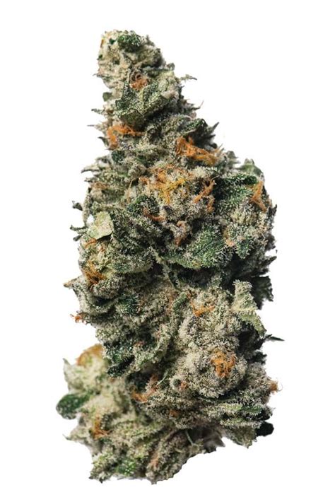 Code Red Strain Proper Cannabis