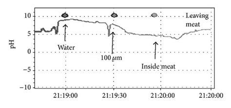 A Unisense Ph Microelectrode Measurements Performed In Canned Salmon