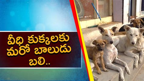 వీధి కుక్కల బారిన పడి మరో బాలుడు బలి Telugu Oneindia Youtube