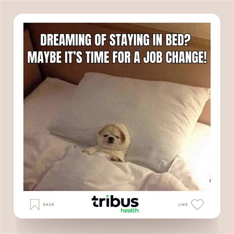 Laura Derlacki On Linkedin Speechiessydney Occupationaltherapists