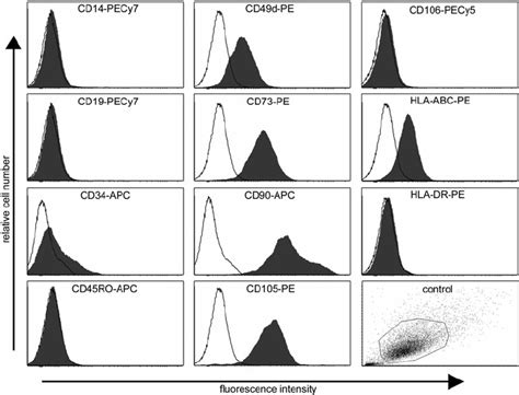 Surface Marker Expression Characteristics Of Undifferentiated Adipose