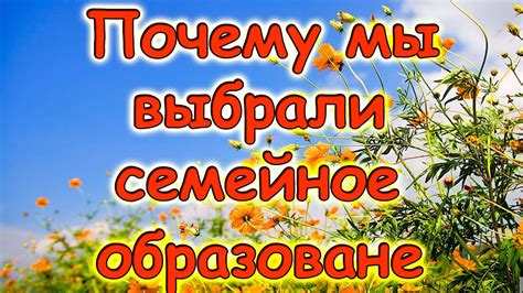 Семья Бровченко Почему мы выбрали Семейное образование Youtube