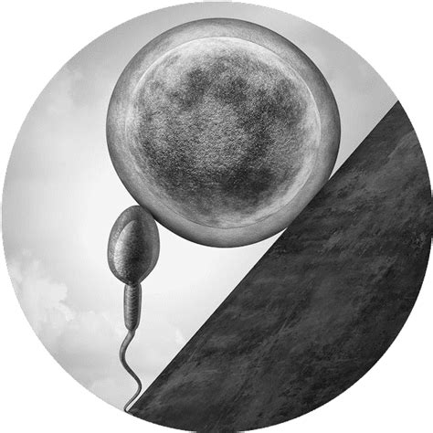 What Lies Beneath Infertility Energy For Living