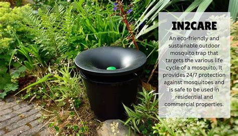 Effective Mosquito Control Solutions Pros And Cons Revealed