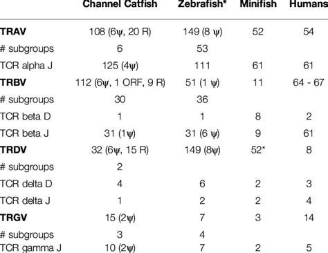 Tcr Variable V Diversity D And Joining J Gene Segment Numbers In Download Scientific
