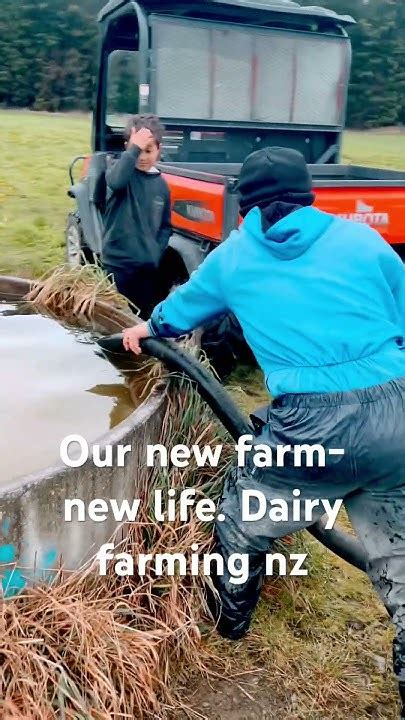 Follow Us Dairy Farming Nz Youtube