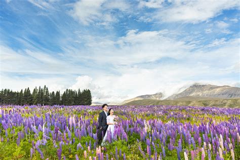 더픽처스 제주스냅 뉴질랜드스냅 오키나와스냅