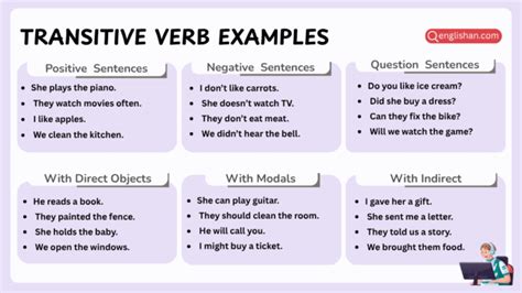 Useful Transitive Verb Examples List