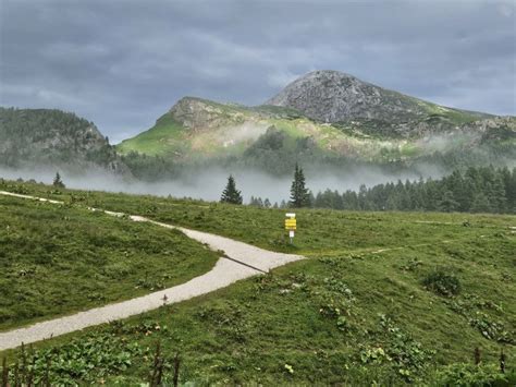 Datascience Forecasting Planning Decisionmaking Analytics Anmol