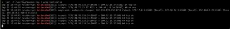 Unable To Access Port 80 Service · Issue 5705 · Tailscaletailscale