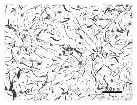 Microstructure Of The Normal Graphite A Low Magnification B High Download Scientific