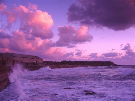 Фото 17730 Море Шпалери на робочий стіл Online Ua Пейзажи Забавные зверюшки Искусство