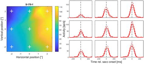 Left Spatial Activity Profile Of One Example Neuron At Saccade Onset