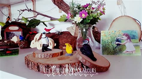Les Oiseaux Les Ptits Explorateurs