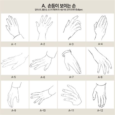 벡터 손 소재 A E 68종 통합 픽셀플러스