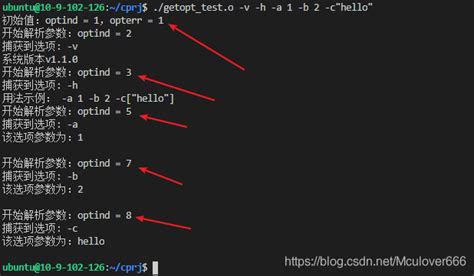 C语言中getopt函数的用法c Getopt Csdn博客