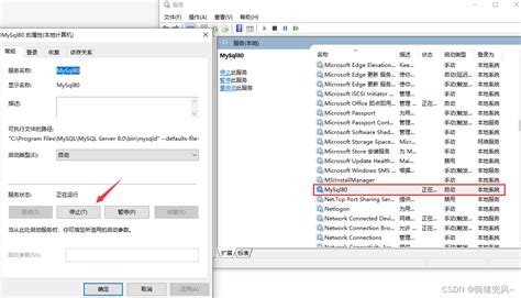 mysql忘记密码了怎么办（完整解决步骤） csdn博客