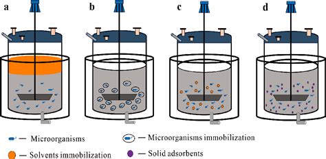 Figure 1 From Two Phase Fermentation Systems For Microbial Production