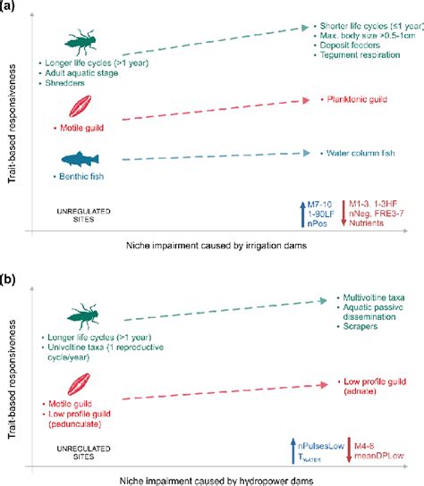 Main Trait Based Community Shifts Higher Abundances Of Traits In Download Scientific Diagram