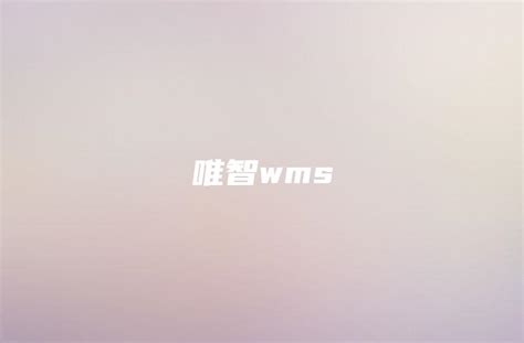 唯智wms 金智达软件