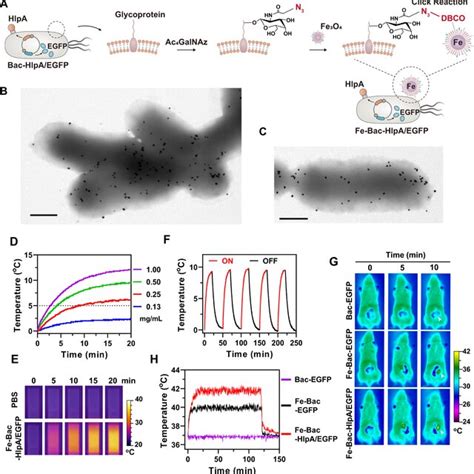 Assembly Of Signal Process And Signal Output Modules A Illustration Of