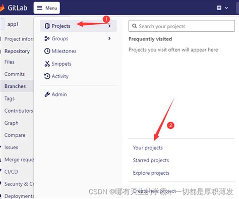 Gitlab设置及取消保护分支gitlab取消分支保护 Csdn博客