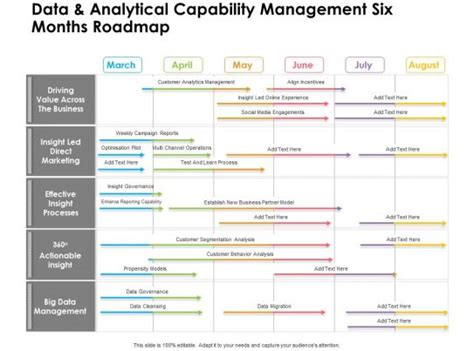 Capability Road Map Examples