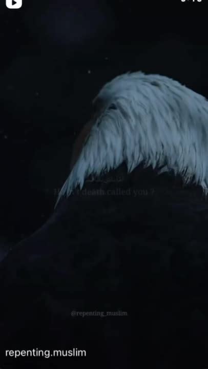 Saad Siddique On Linkedin Have You Forgotten Death