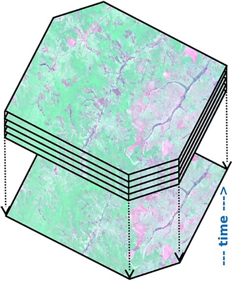 Illustration Of The Voxel Sampling Units Proposed By Boschetti Et